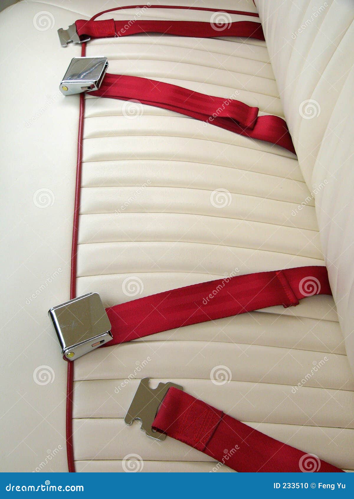 Car safety belt stock photo. Image of belt, safetybelt - 233510
