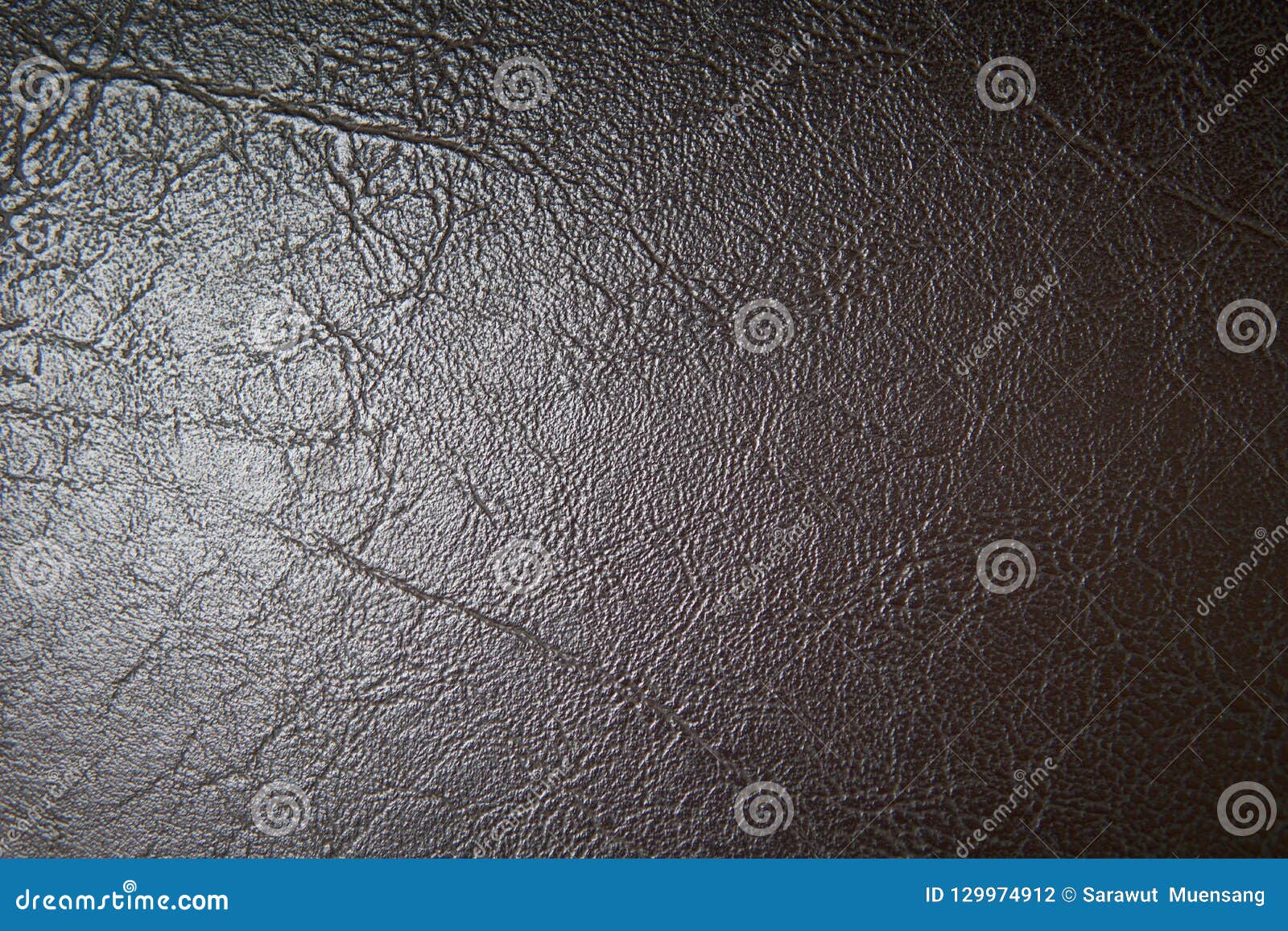 Car seat skin texture stock photo. Image of spicy, chilly - 129974912