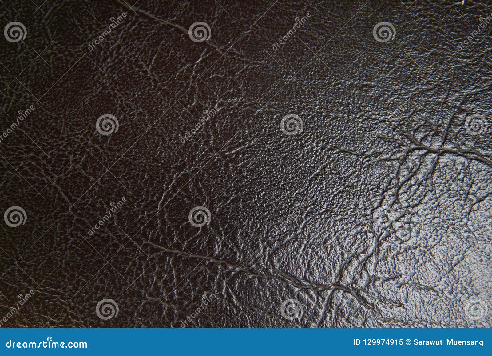 Car Seat Skin Texture Stock Photography | CartoonDealer.com #129974912
