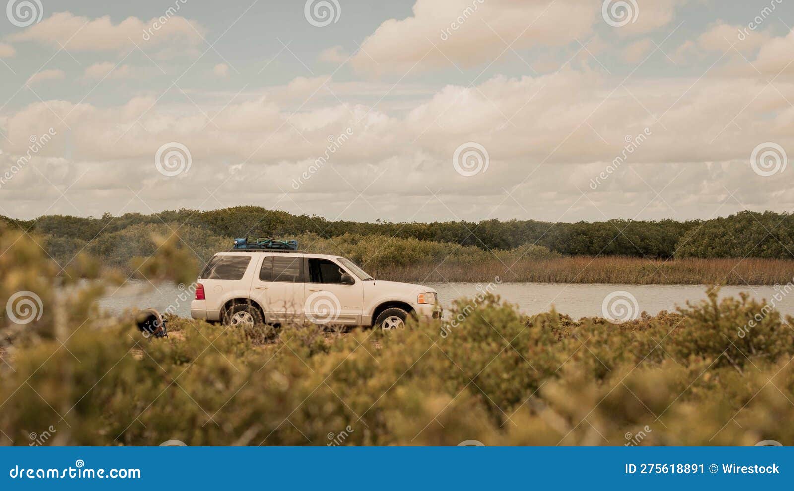 Car Seen through Greenery on the Edge of a Lake Stock Image - Image of ...