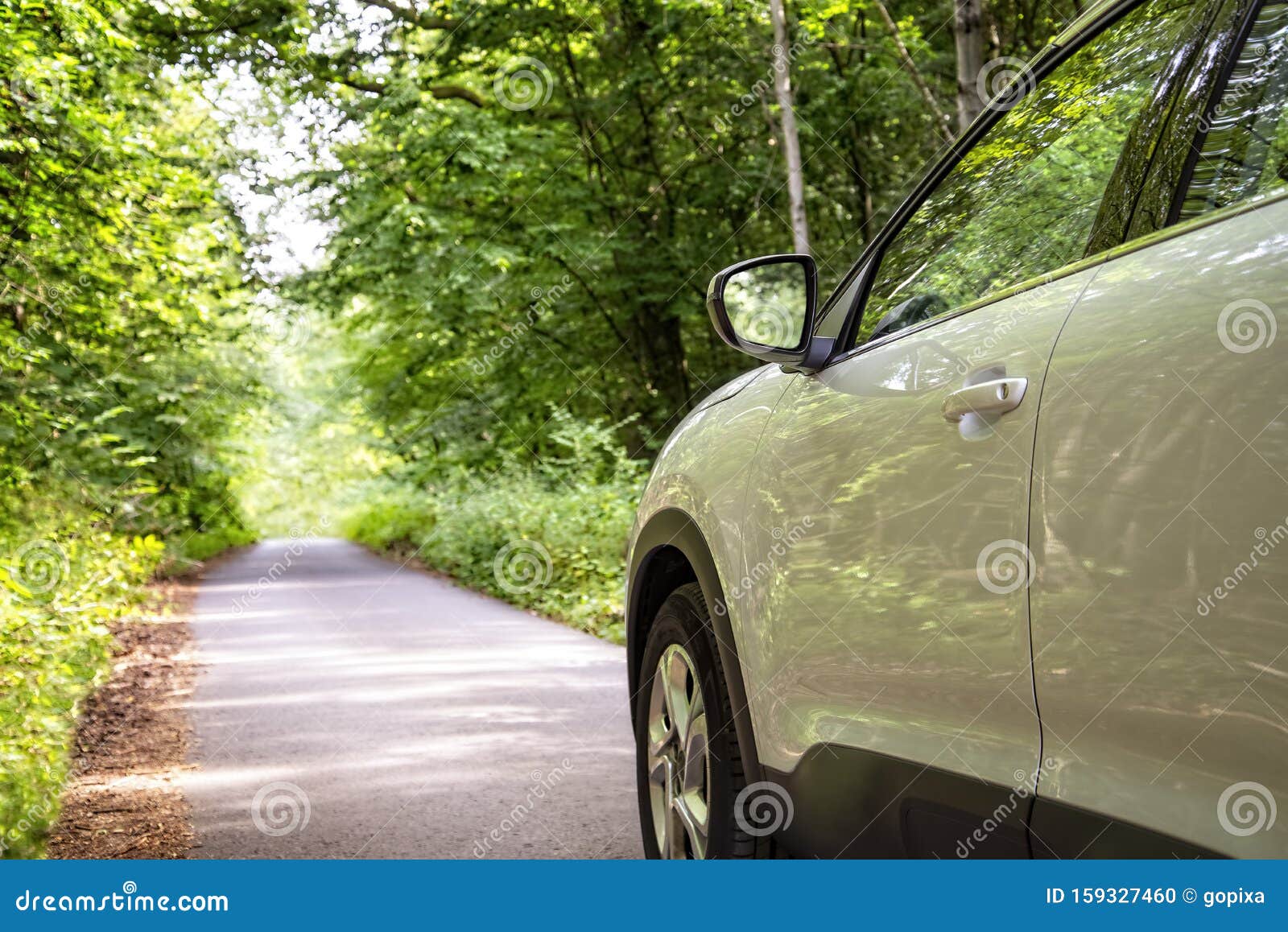 Car on Small Road in the Forest Stock Photo - Image of plant, drive ...