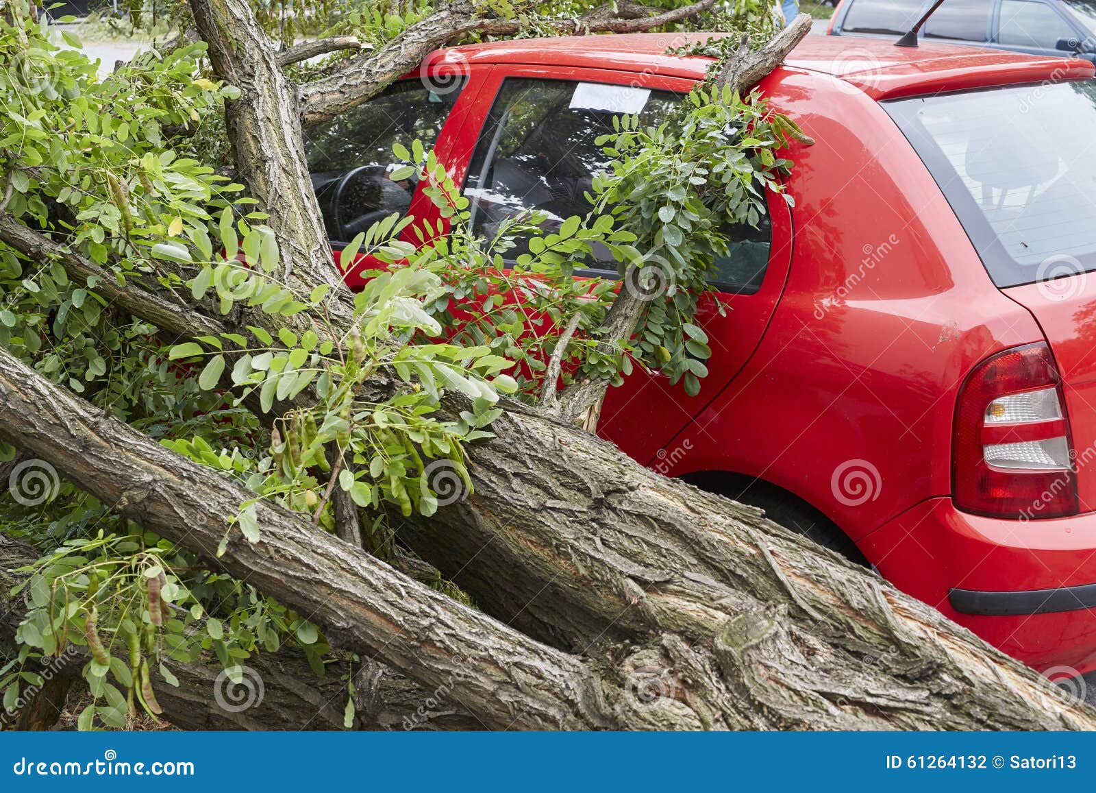 Car smashed by high winds stock photo. Image of automobile - 61264132
