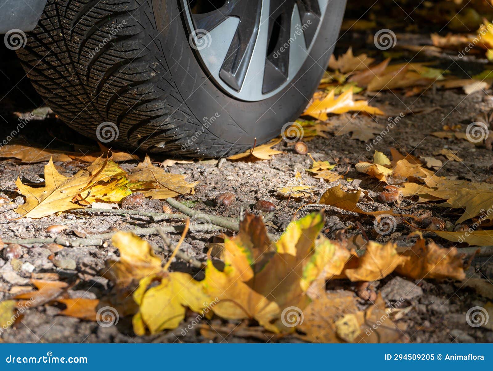 Car tire and autumn leaves stock image. Image of winter - 294509205