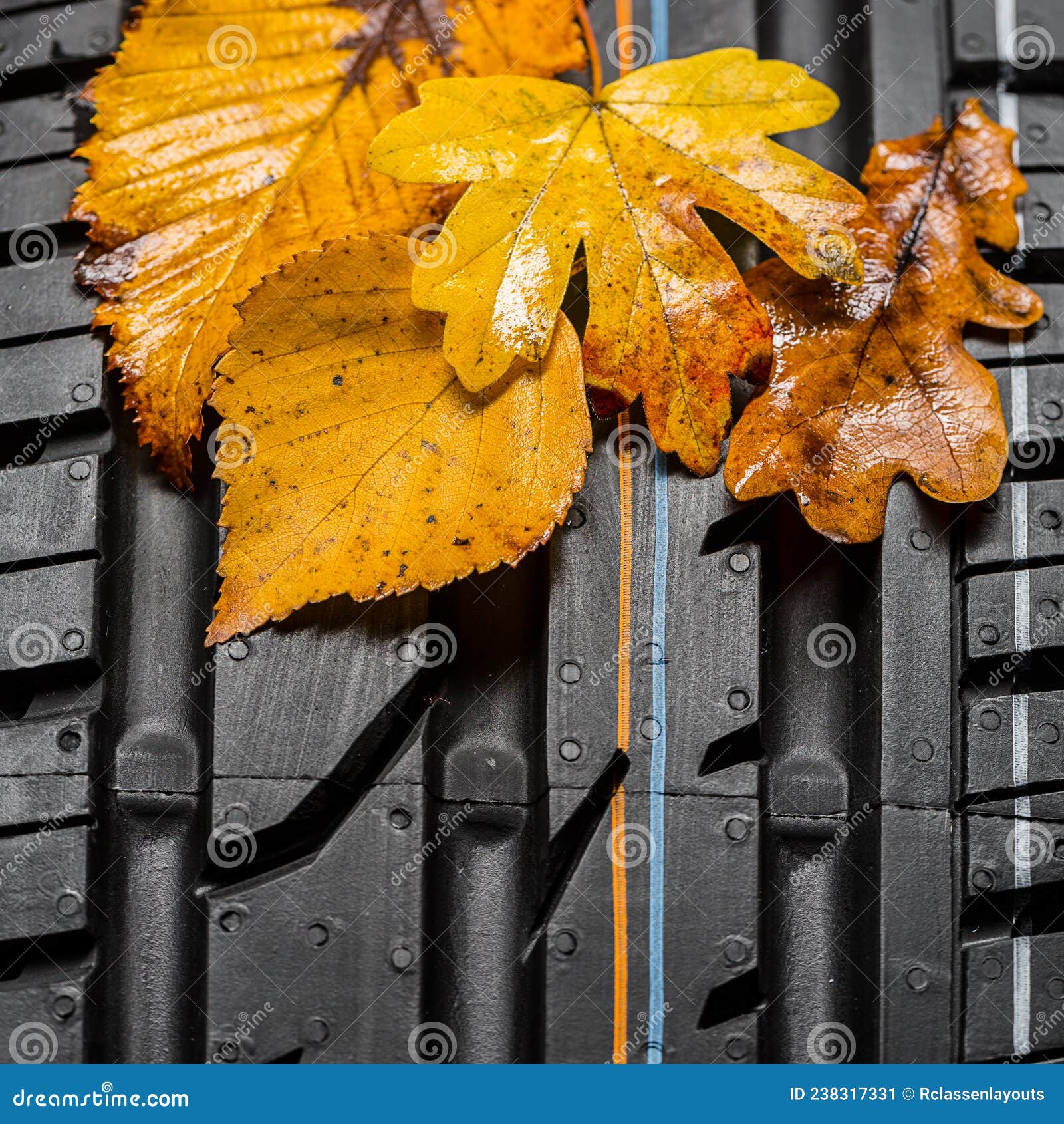 Car Tire with Autumn Leaves Car Service Station Stock Image - Image of ...