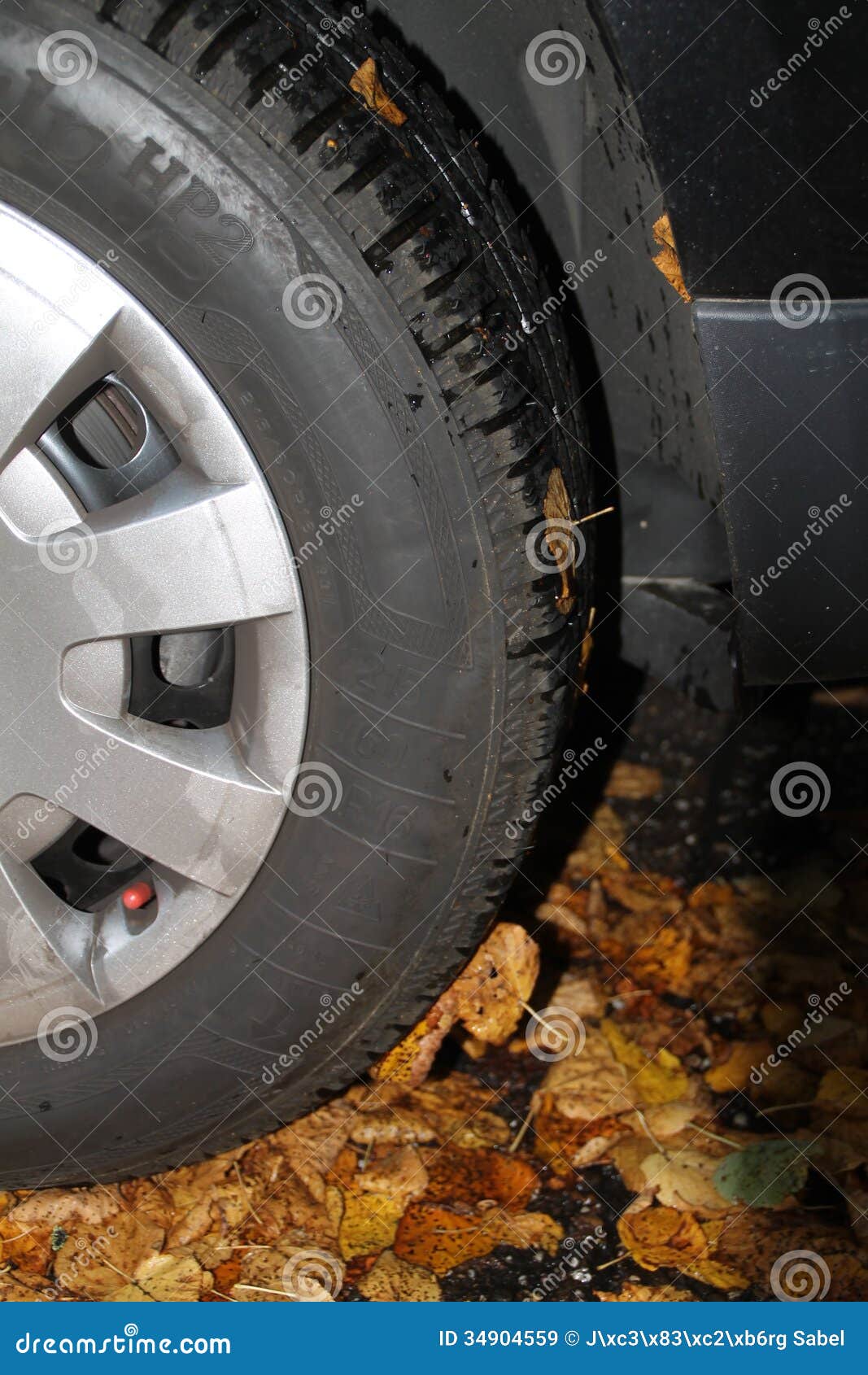 A car tire in the autumn stock image. Image of cost, insurance - 34904559