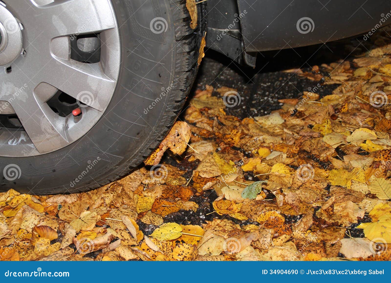 A car tire in the autumn stock photo. Image of slip, road - 34904690