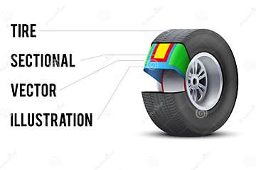 Car Tire with Layers Sectional Stock Vector - Illustration of service ...
