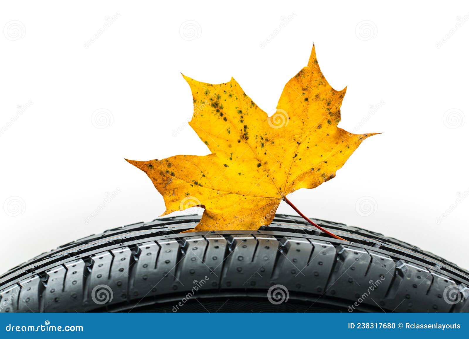 Car Tire with Maple Leaf in Autumn Stock Photo - Image of maple, rain ...