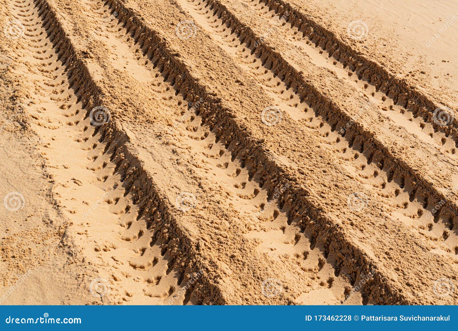 Car Tire Marks in the Sand. Car Tracks. Desert Stock Photo - Image of ...