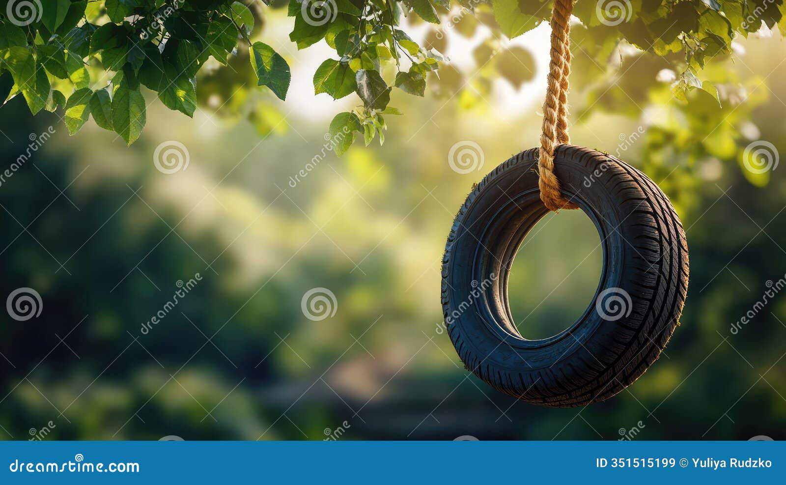 Car Tire on Rope Hanging from Tree Branch Stock Image - Image of space ...
