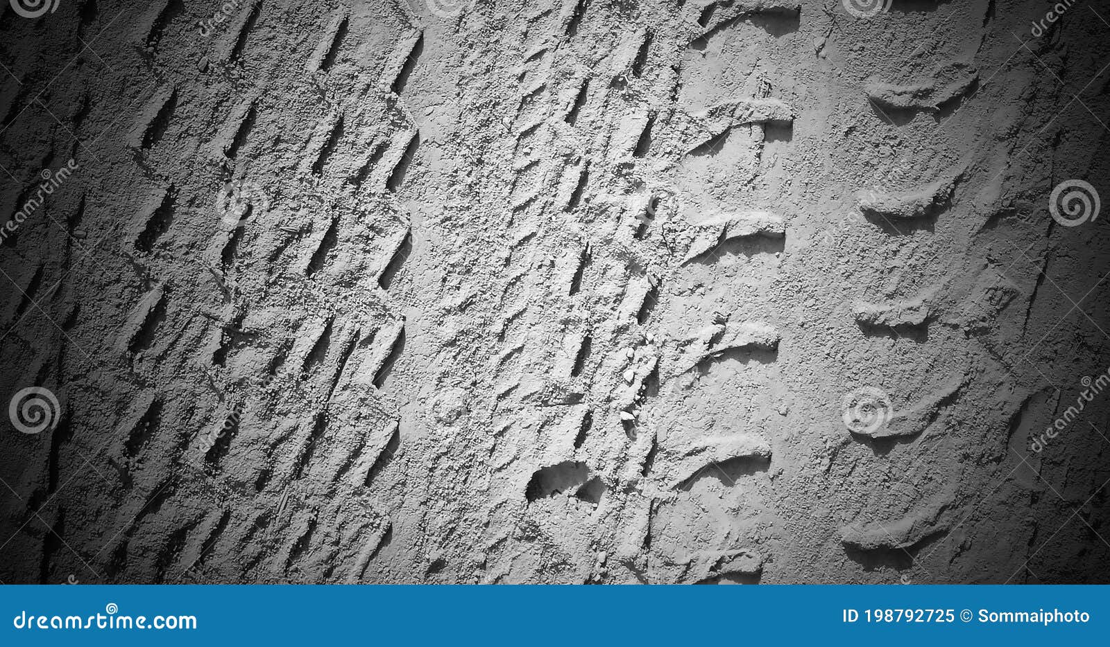 Car tire tracks stock image. Image of trail, dust, land - 198792725