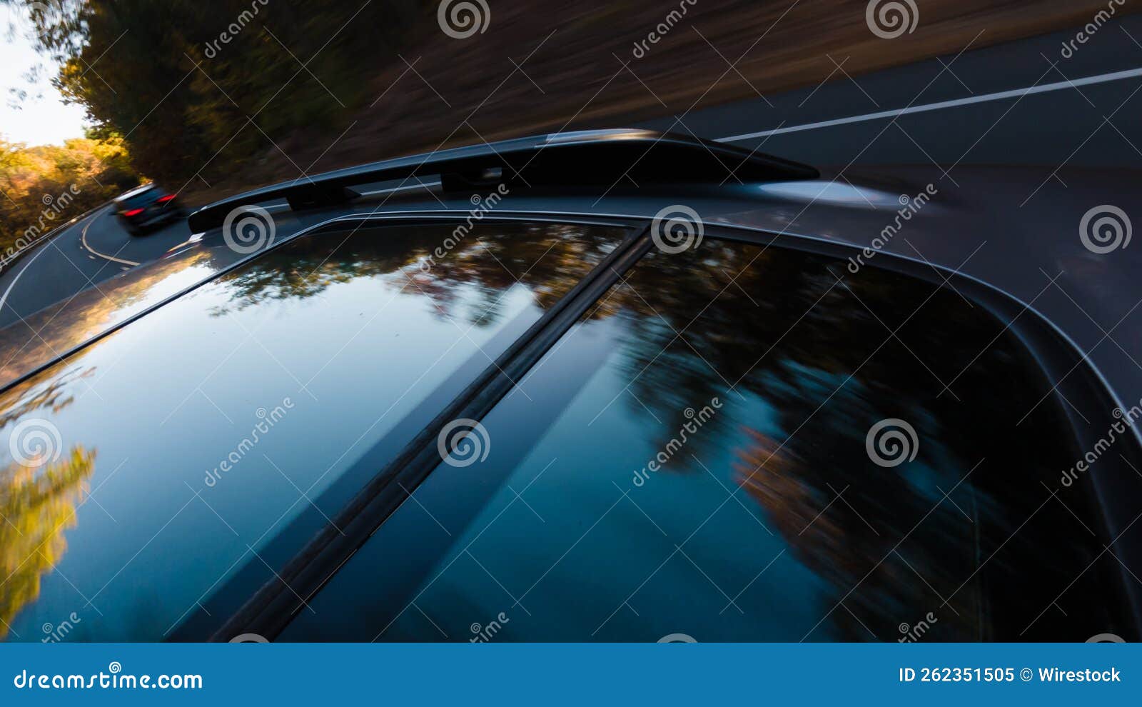 Car Top Glass Reflects the Forest. Stock Image - Image of auto ...