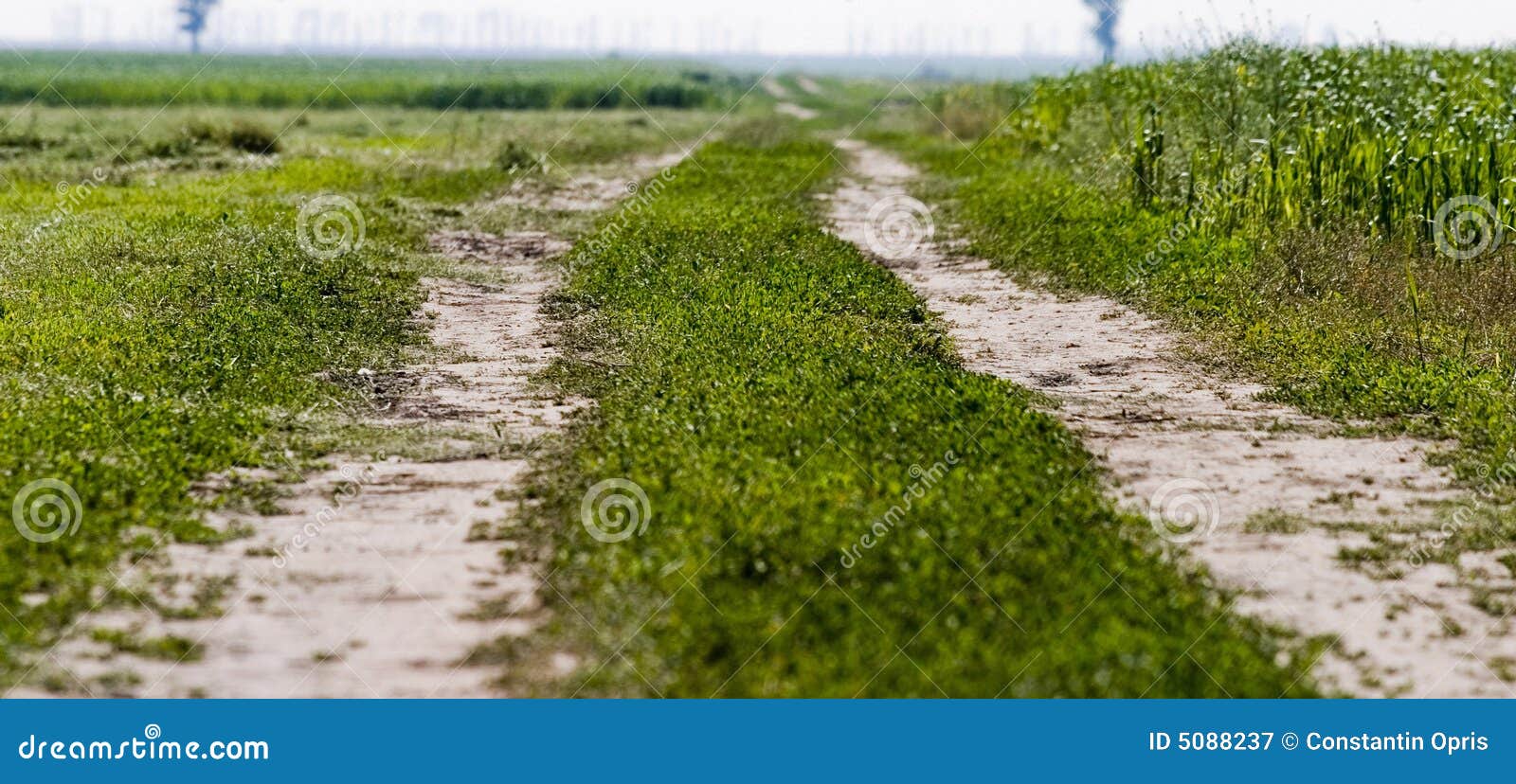 Car track in field stock image. Image of countryside, greenery - 5088237