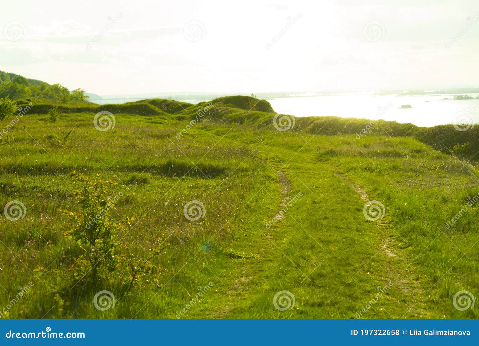 Car track on green field stock photo. Image of field - 197322658