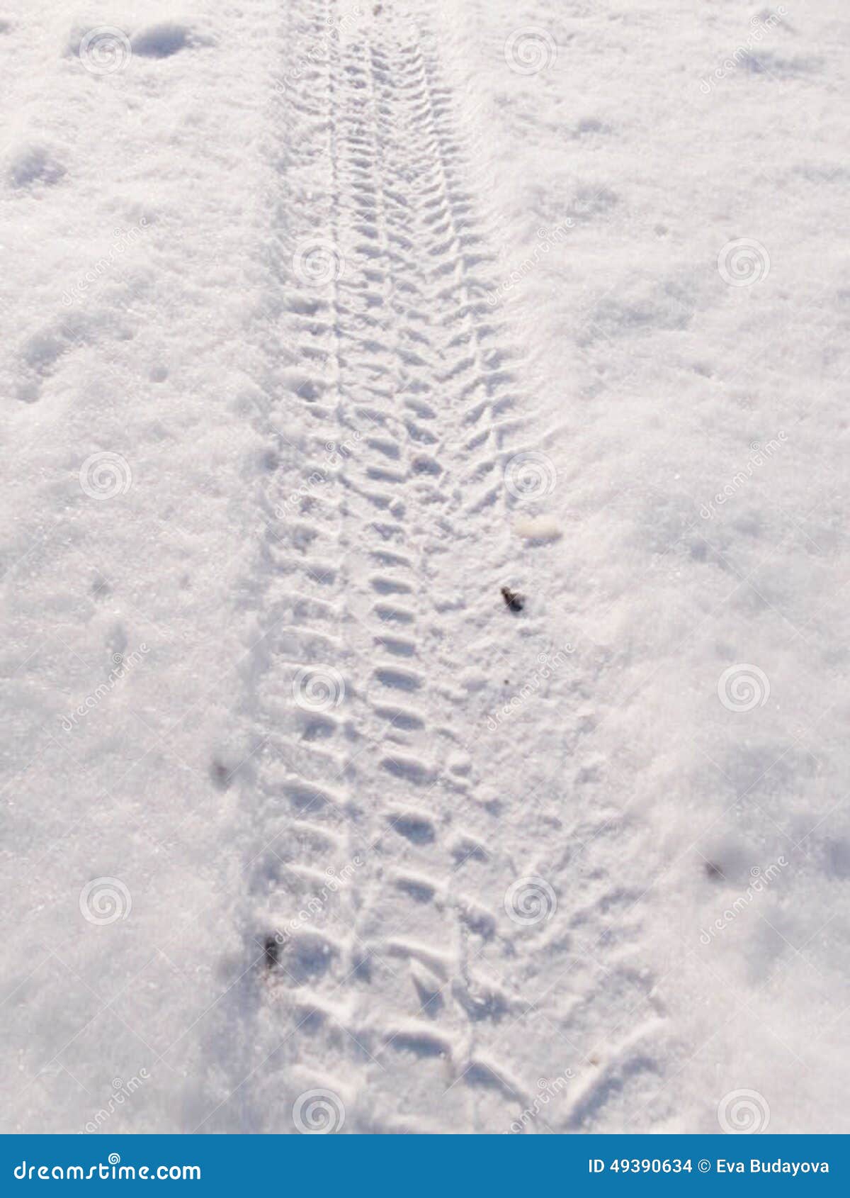 Car track in snow stock photo. Image of backdrop, white - 49390634