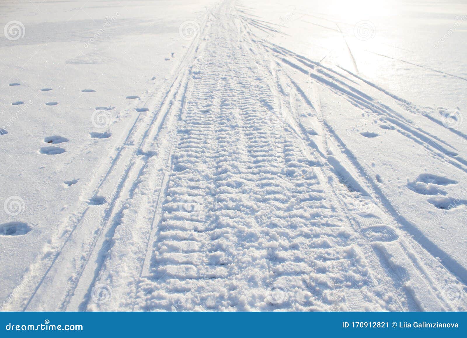 Car track on snow stock image. Image of white, cold - 170912821