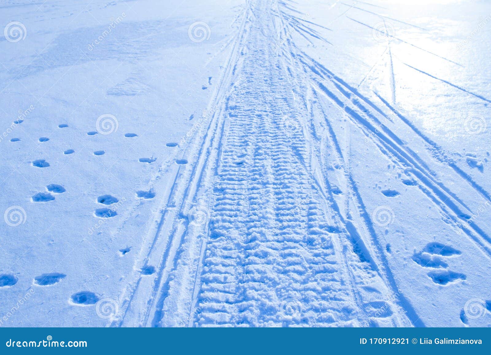 Car track on snow stock image. Image of adventure, season - 170912921