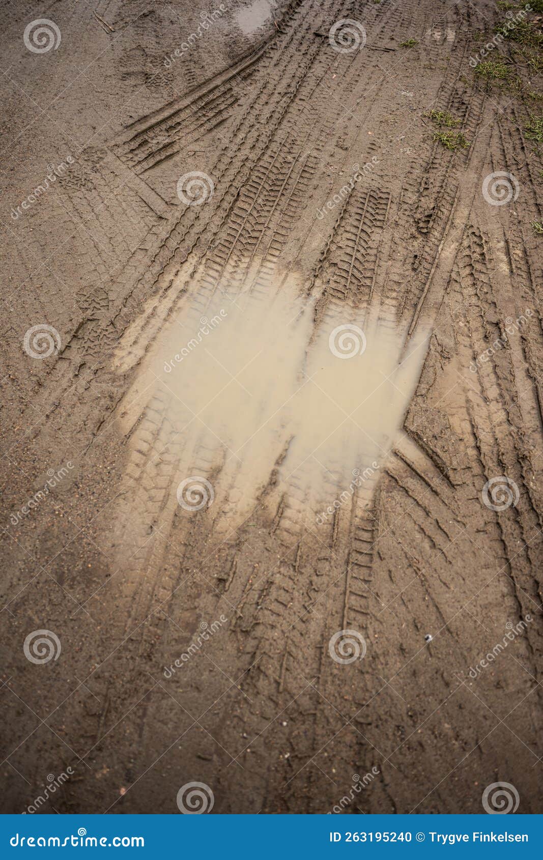 Car Tracks in Brown Mud at a Parking Lot.. Stock Photo - Image of blue ...