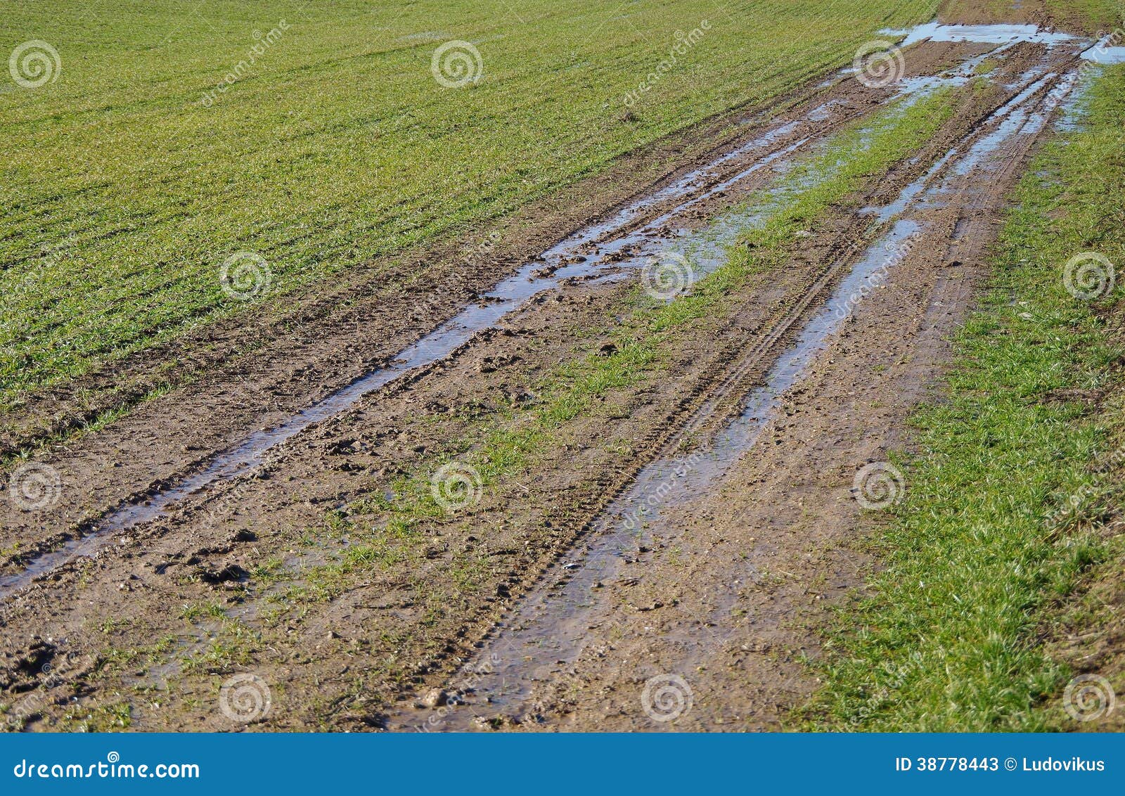 Car tracks in a field stock image. Image of drive, green - 38778443