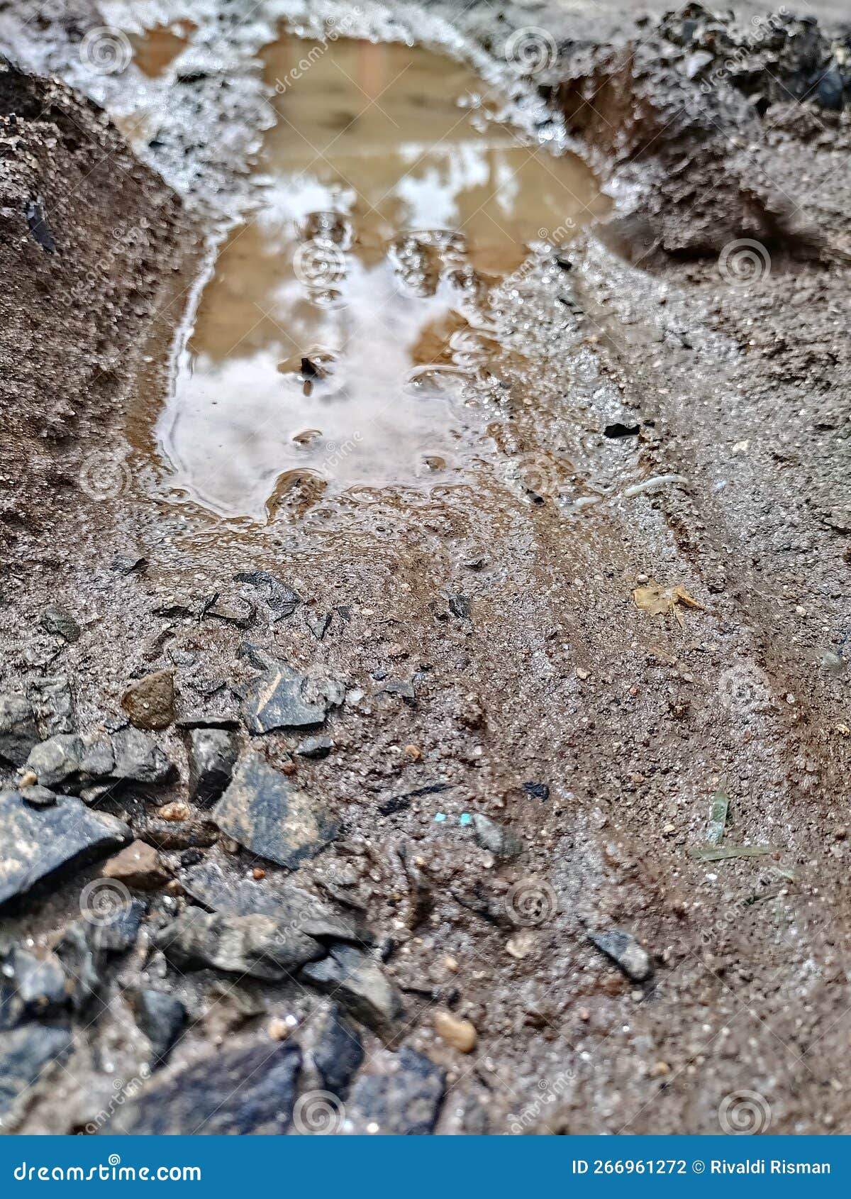 Car tracks in the mud stock photo. Image of frost, plant - 266961272