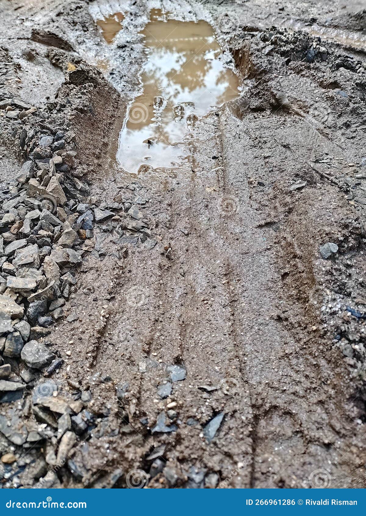 Car tracks in the mud stock photo. Image of soil, wood - 266961286