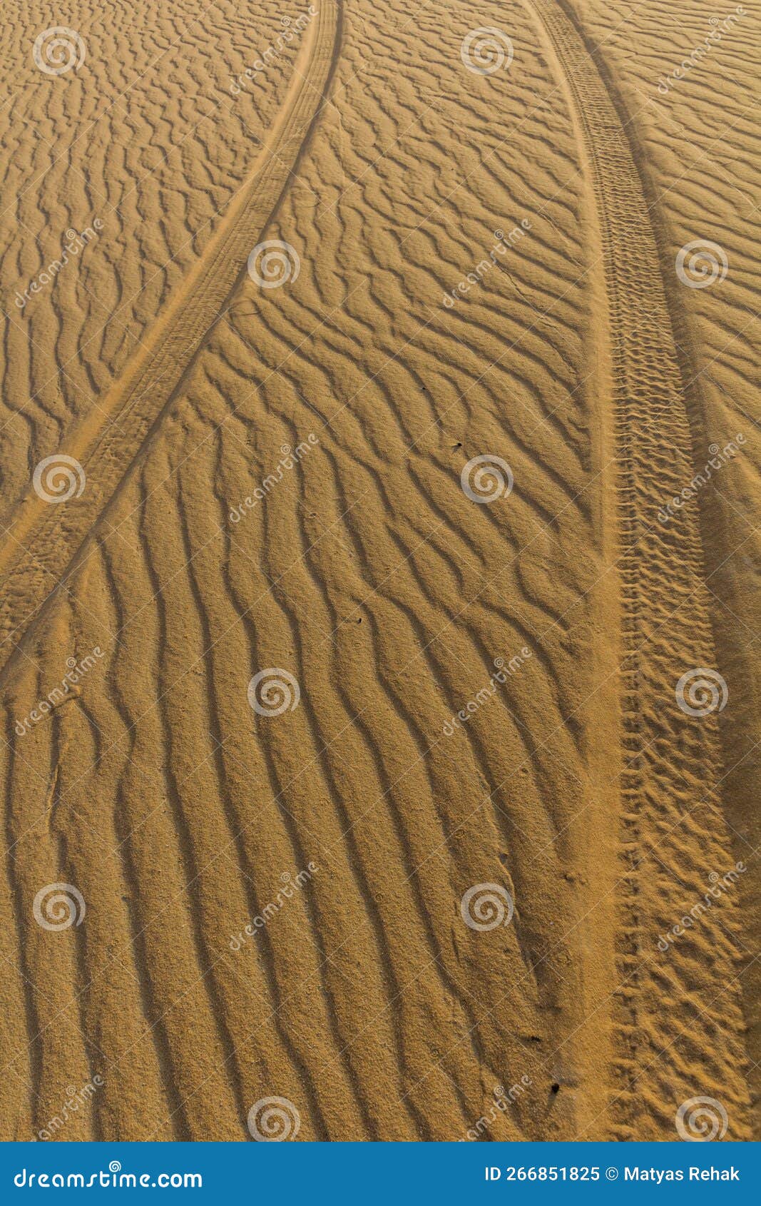 Car tracks in a sand dese stock image. Image of sand - 266851825