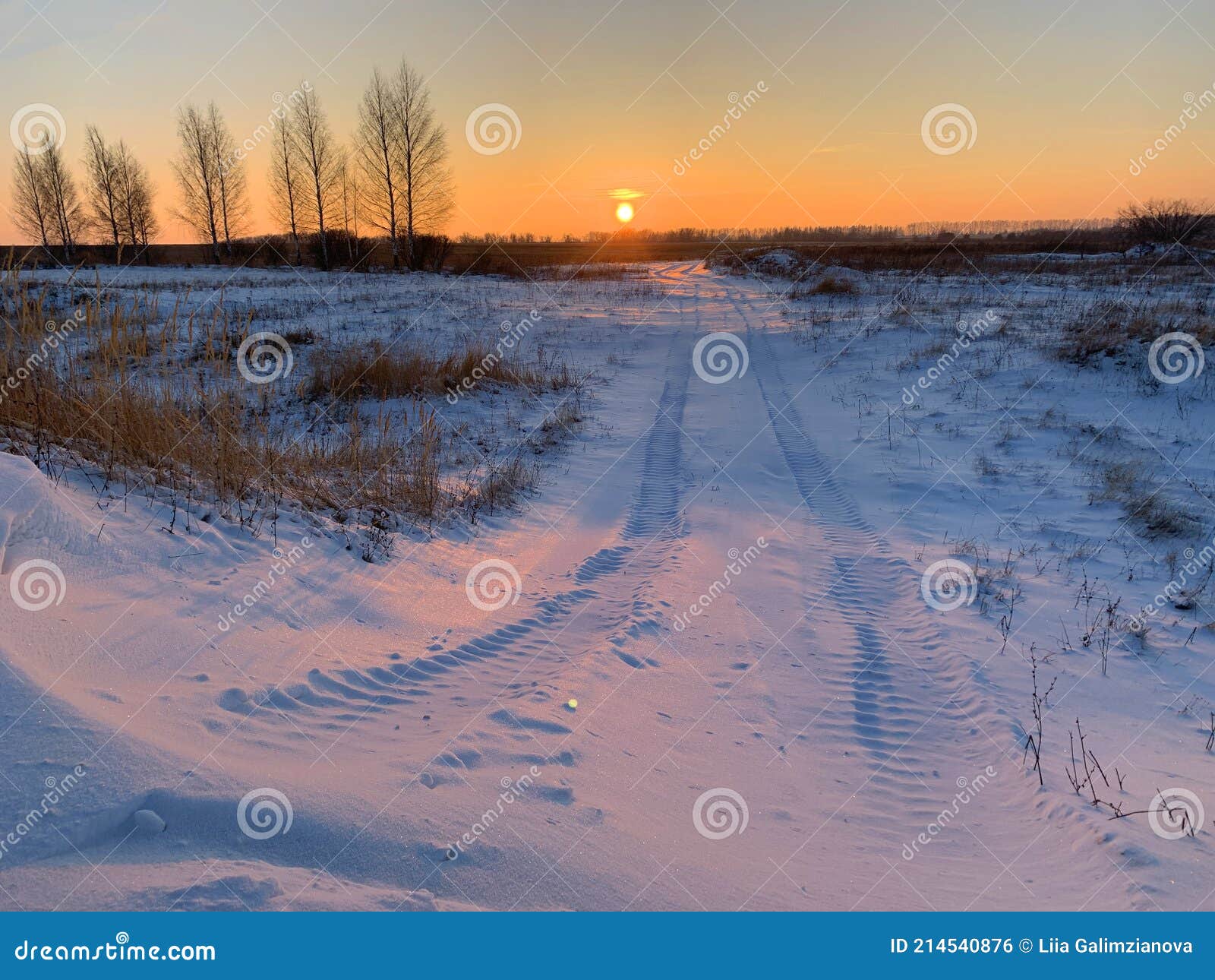 Car tracks on the snow stock photo. Image of track, tire - 214540876