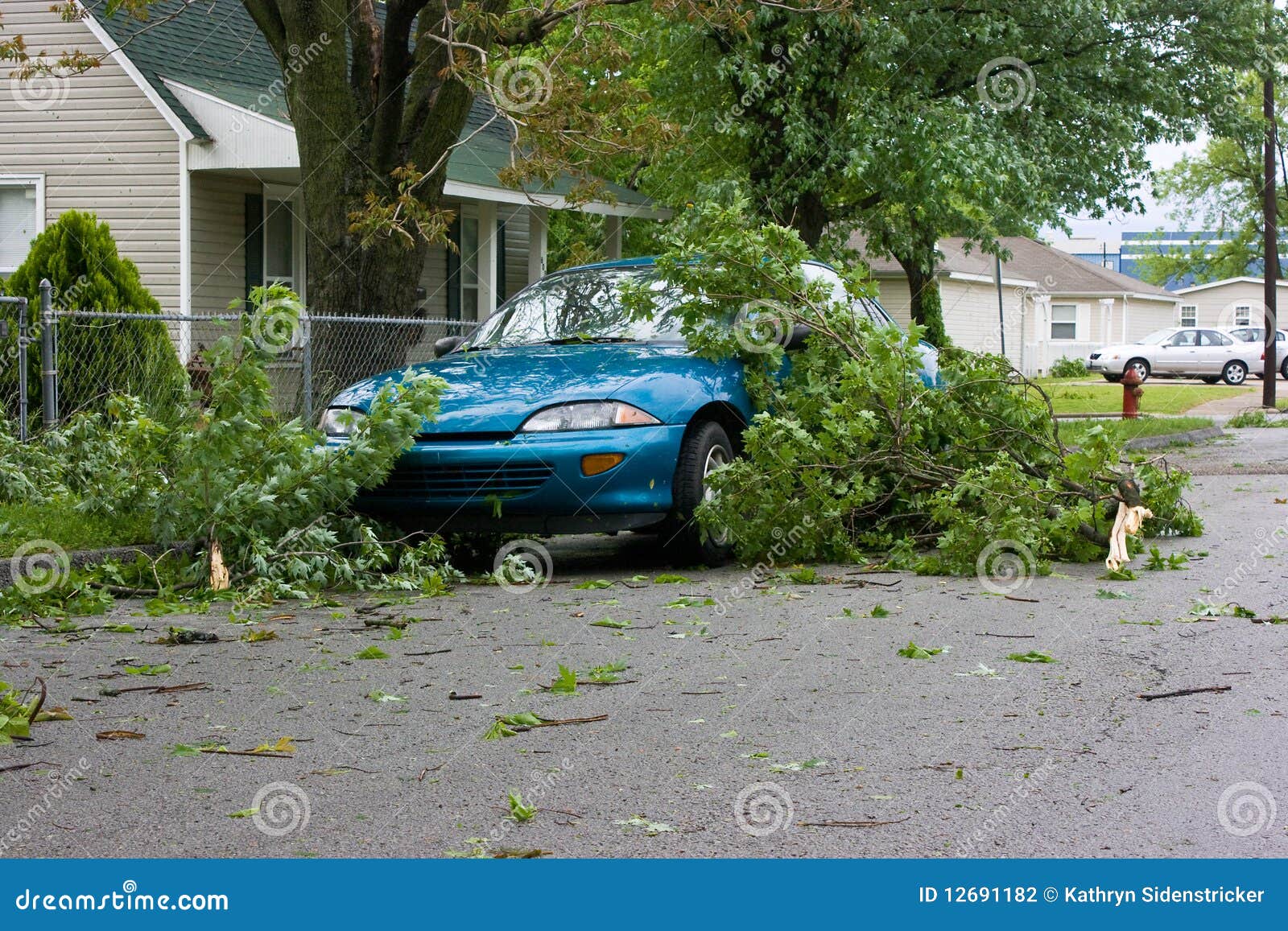 Downed Limbs Photos - Free & Royalty-Free Stock Photos from Dreamstime