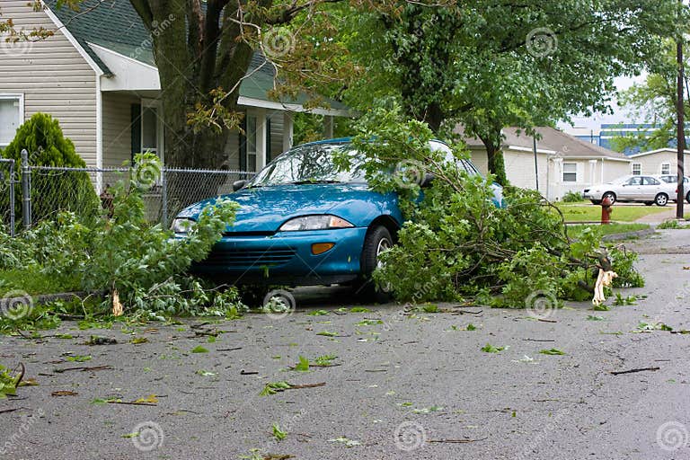 Car and Tree Limbs Storm Damage Stock Photo - Image of aftermath, storm ...