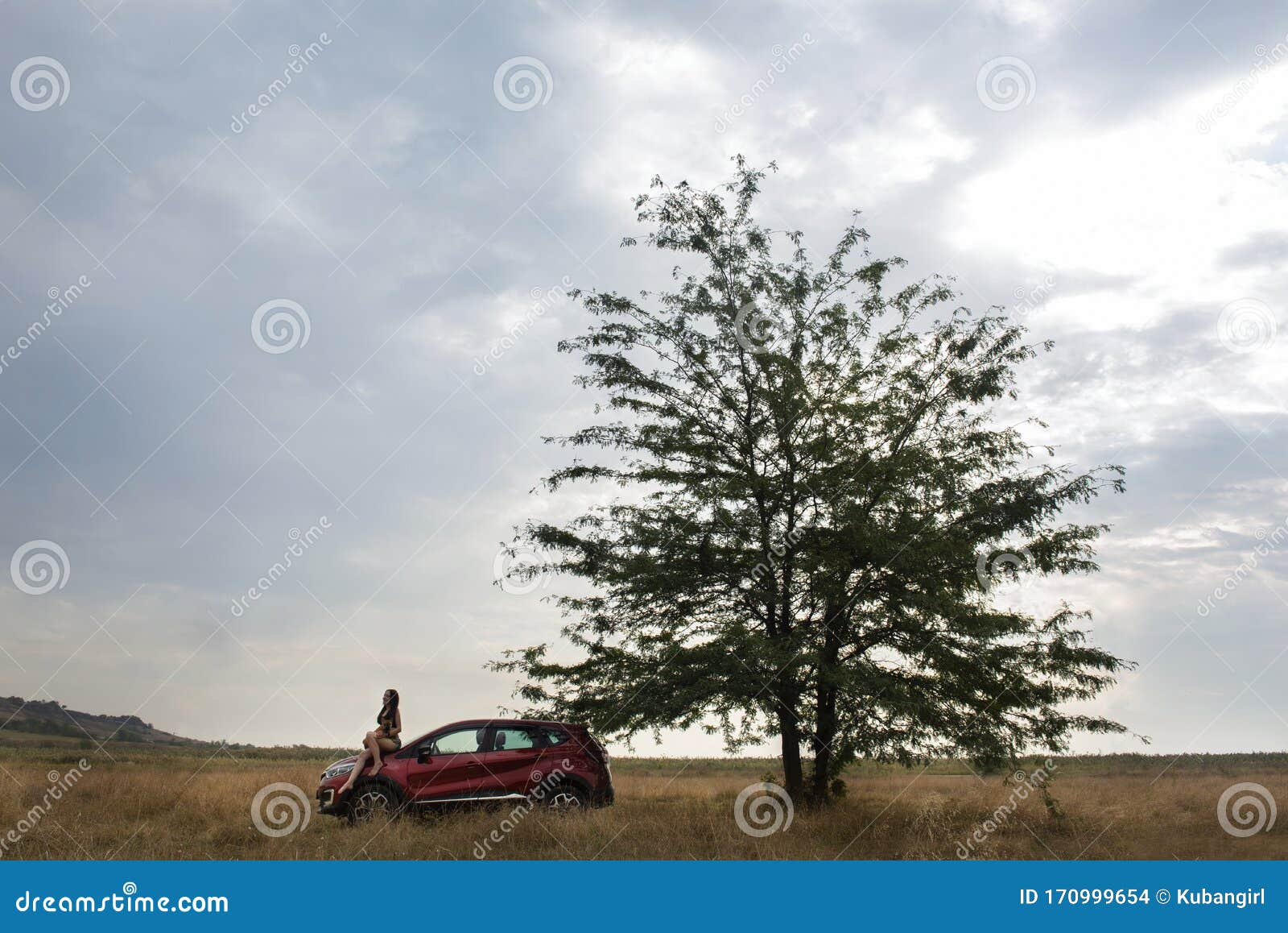 Car under lone tree stock photo. Image of explore, natural - 170999654