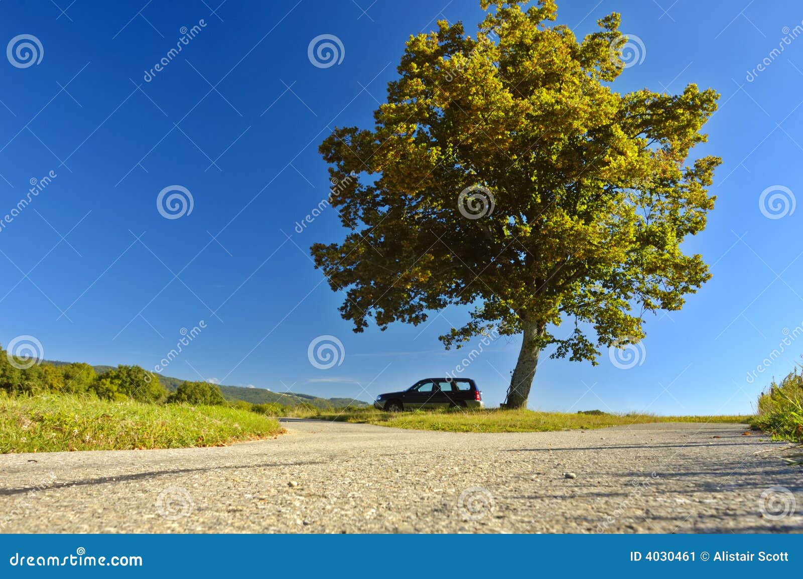 Car under a tree stock image. Image of global, green, rural - 4030461