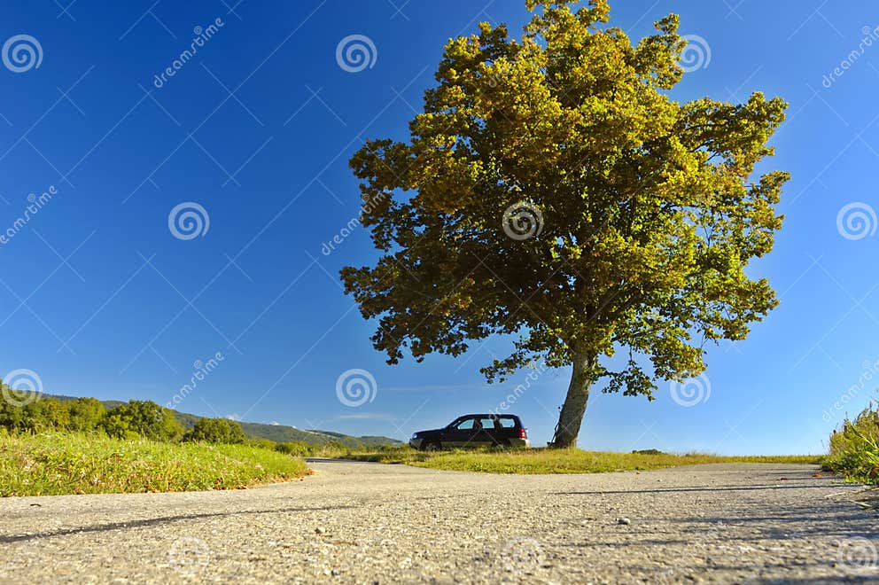Car under a tree stock image. Image of global, green, rural - 4030461