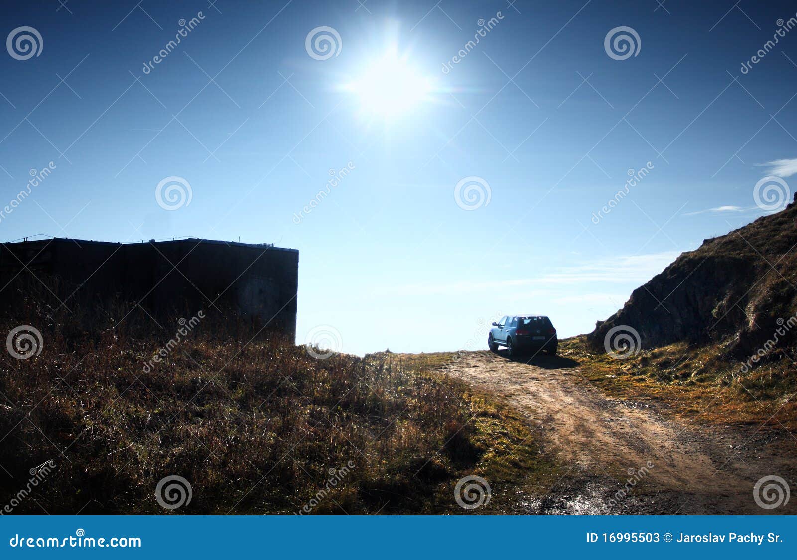 Car on the way stock image. Image of avenue, trees, transporter - 16995503