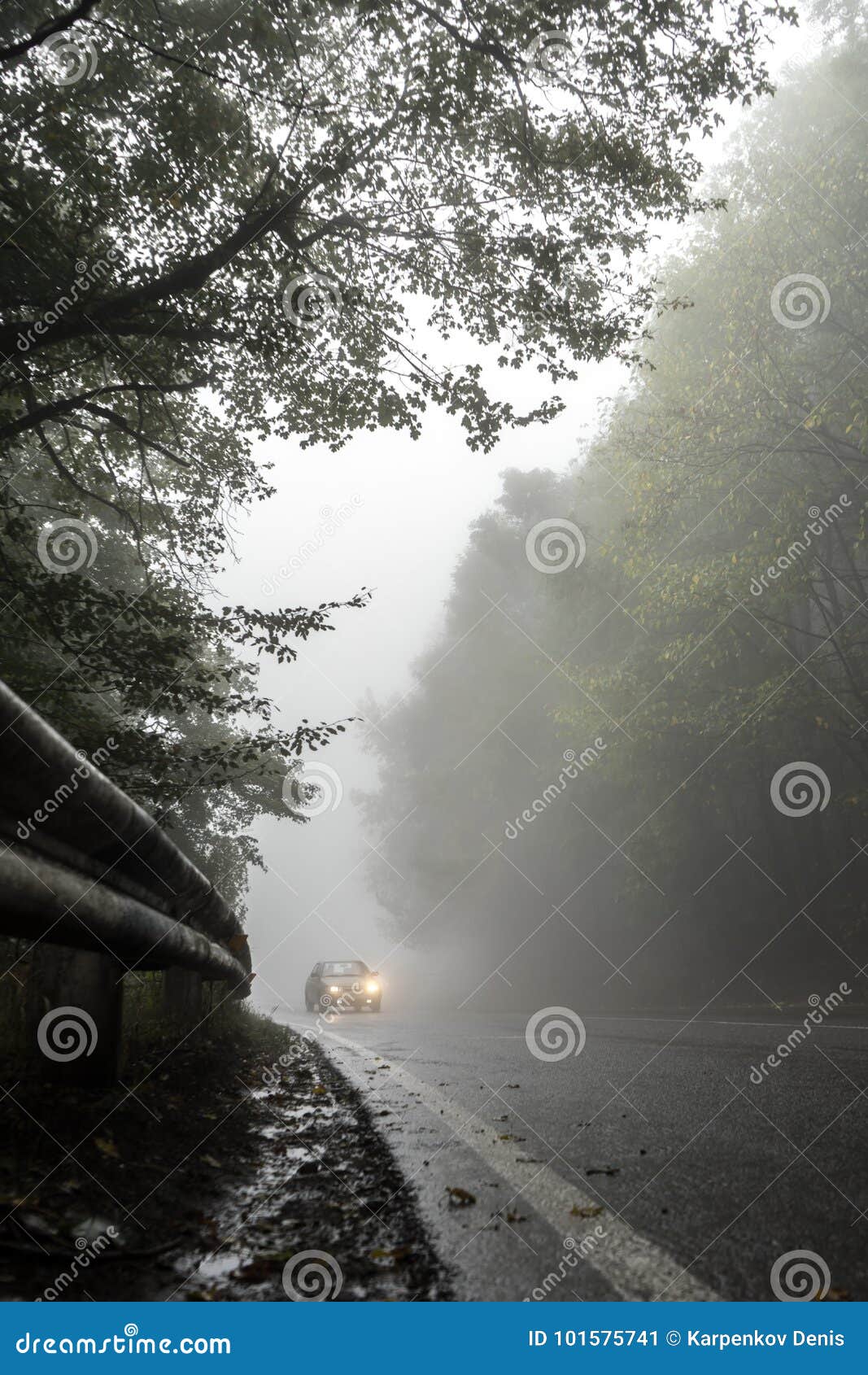 Forest Fence Stock Image | CartoonDealer.com #97388935