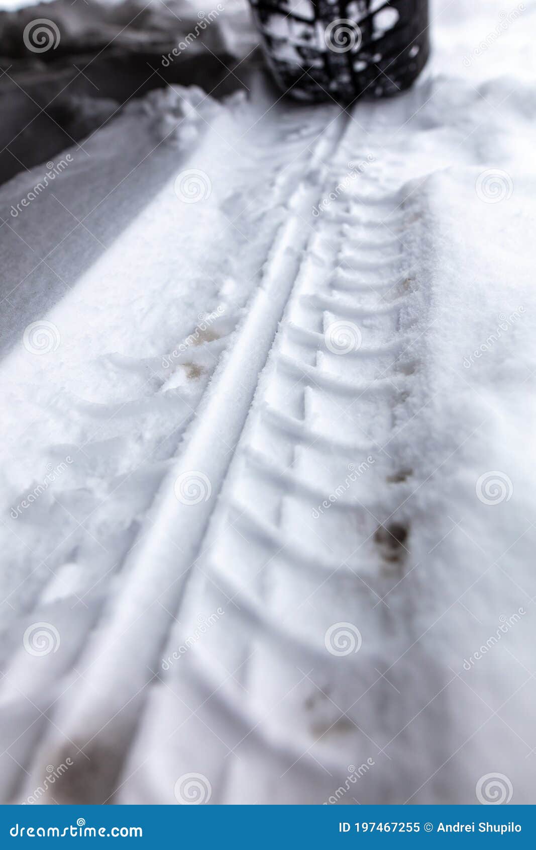Car wheel in the snow stock image. Image of track, wheel - 197467255