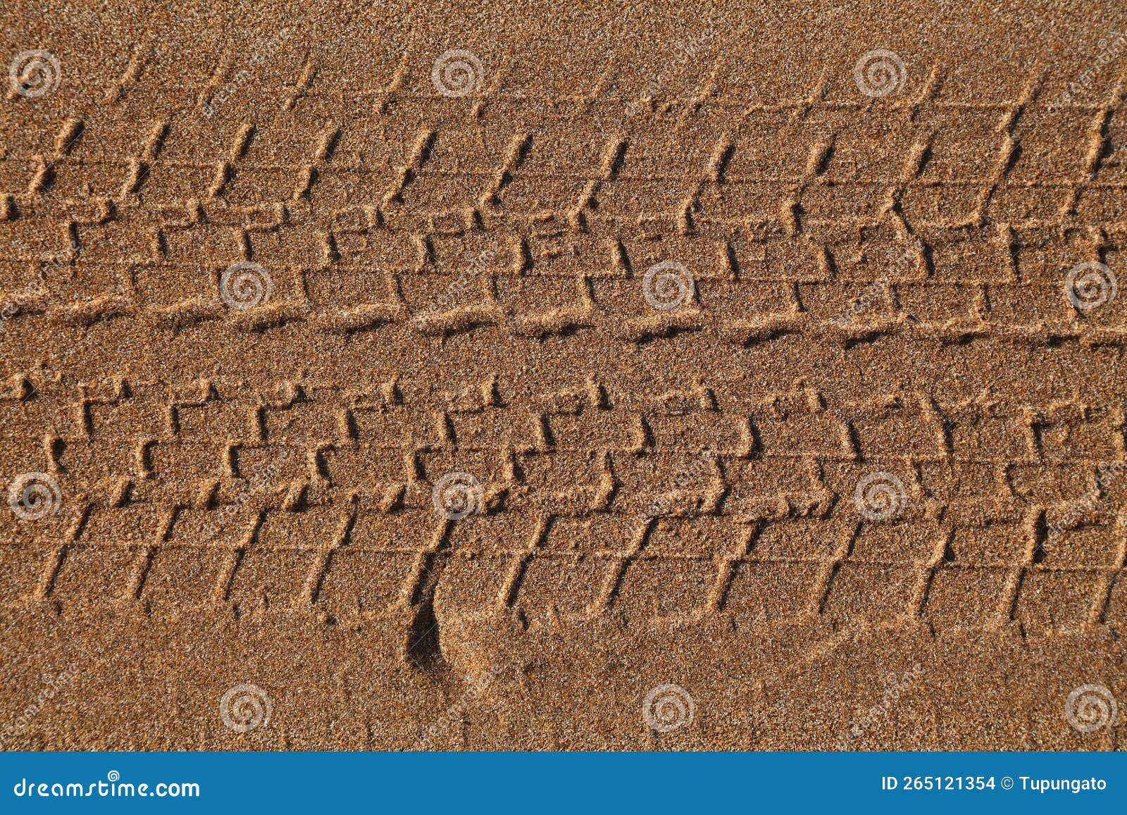 Car Wheel Track on Beach Sand Stock Photo - Image of sandy, 4wding ...