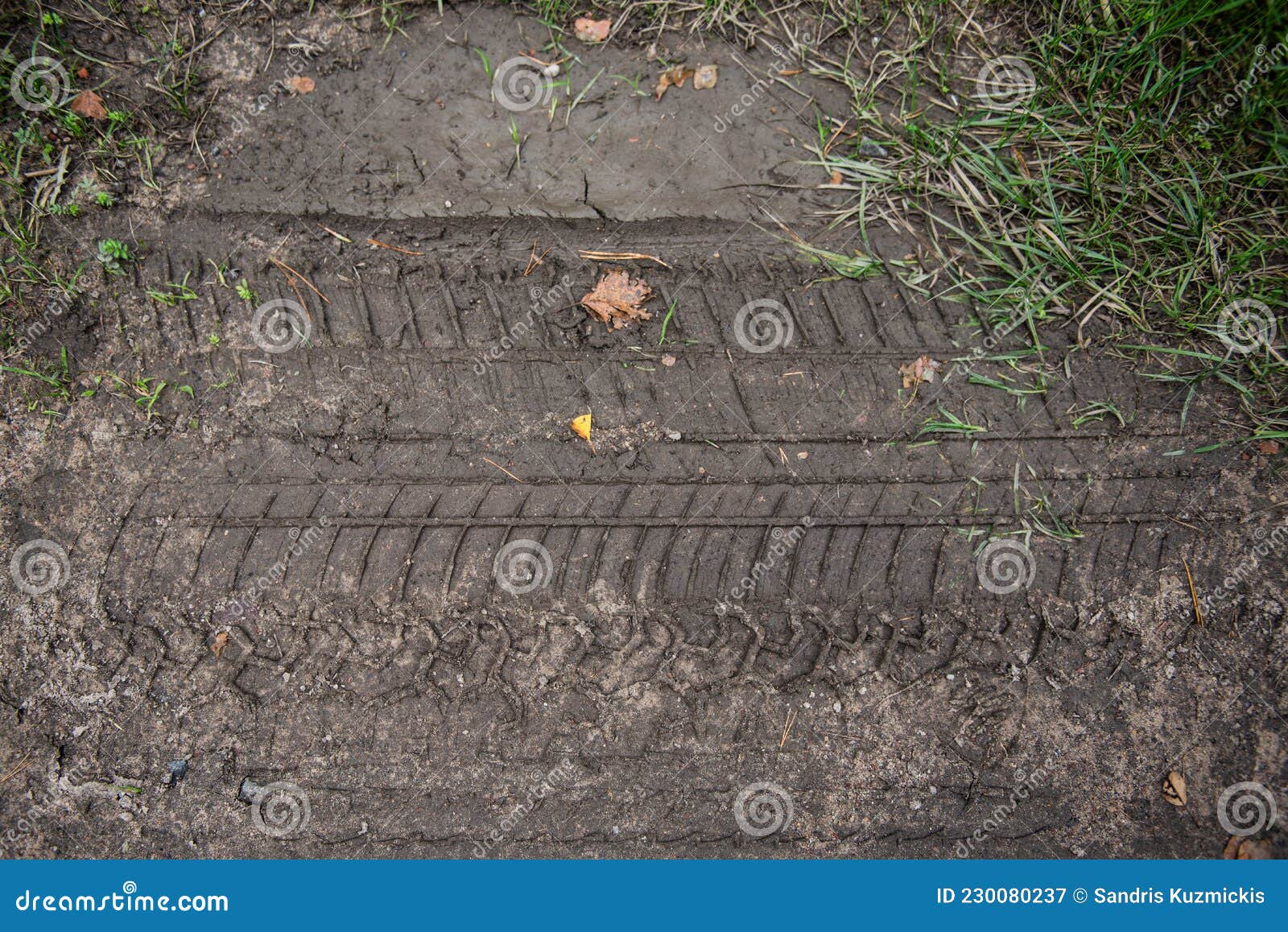 Car Wheel Track on Mud, Dirt Stock Image - Image of drive, land: 230080237