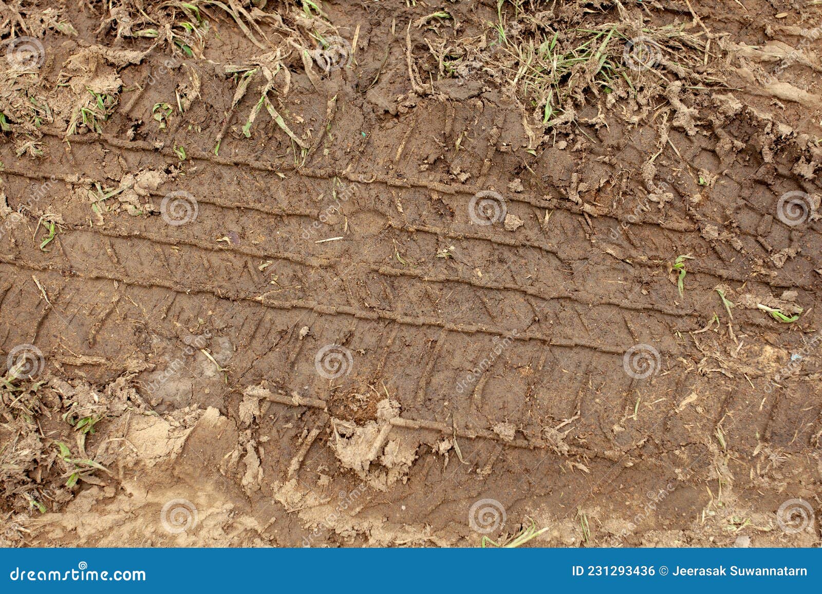 Car Wheel Tracks on the Ground Stock Photo - Image of pattern, sand ...