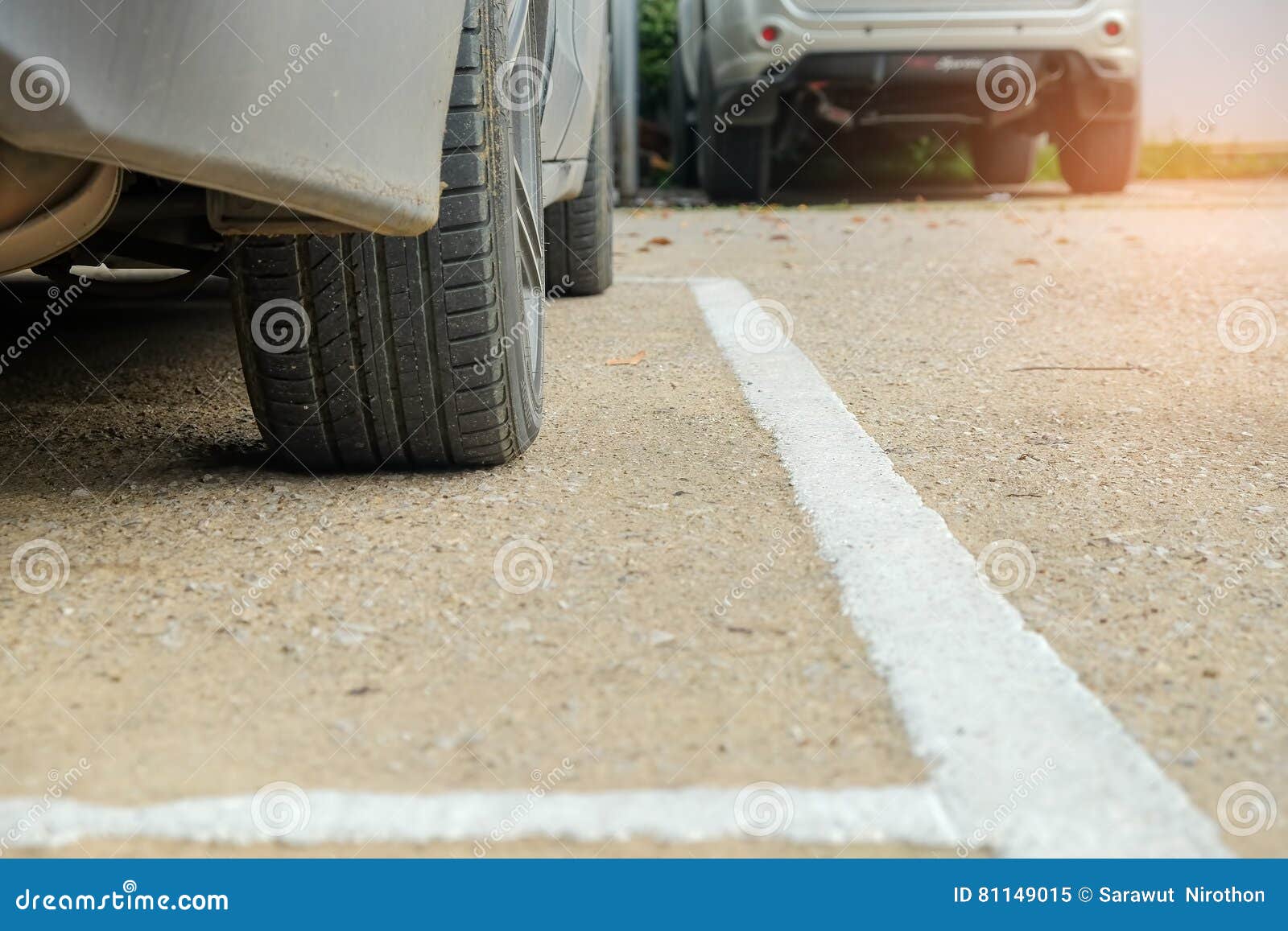 Car Wheels in Park Take the Wheel and Lines. Stock Image - Image of ...