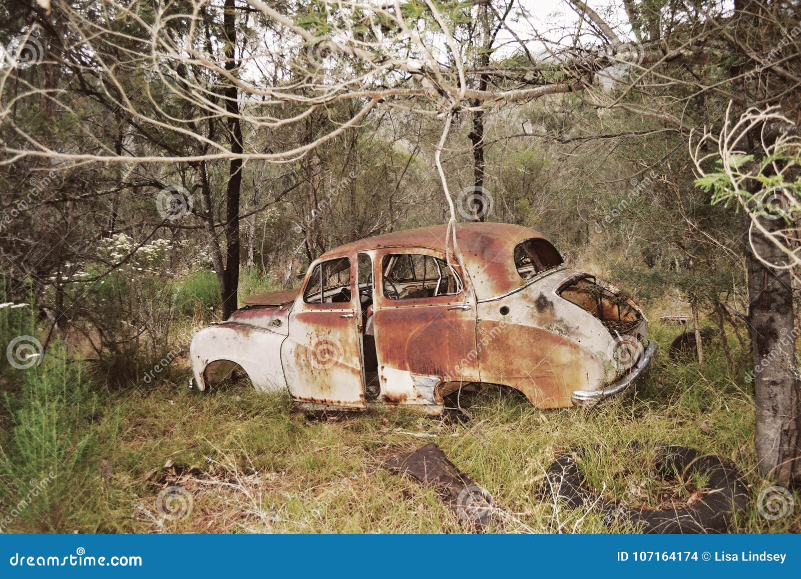 Car wreck rusty old stock photo. Image of rusty, bush - 107164174