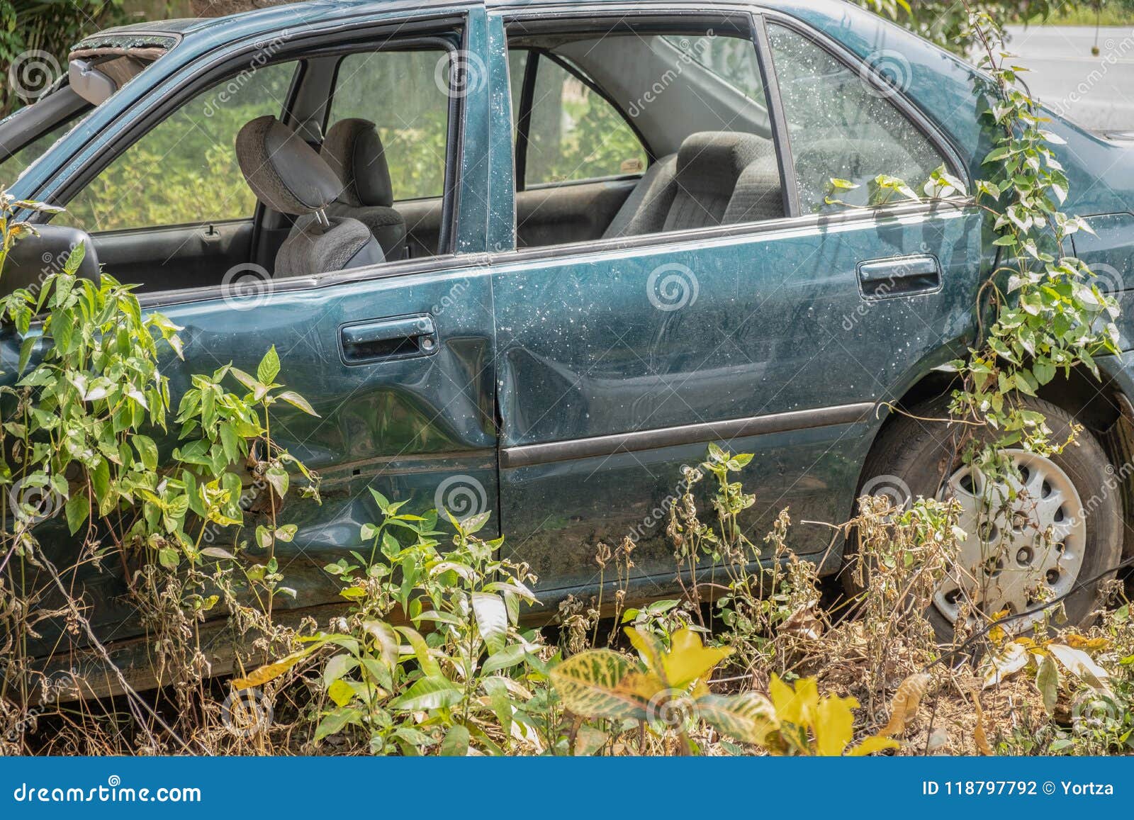 Car wreck and tree stock photo. Image of insurance, damage - 118797792