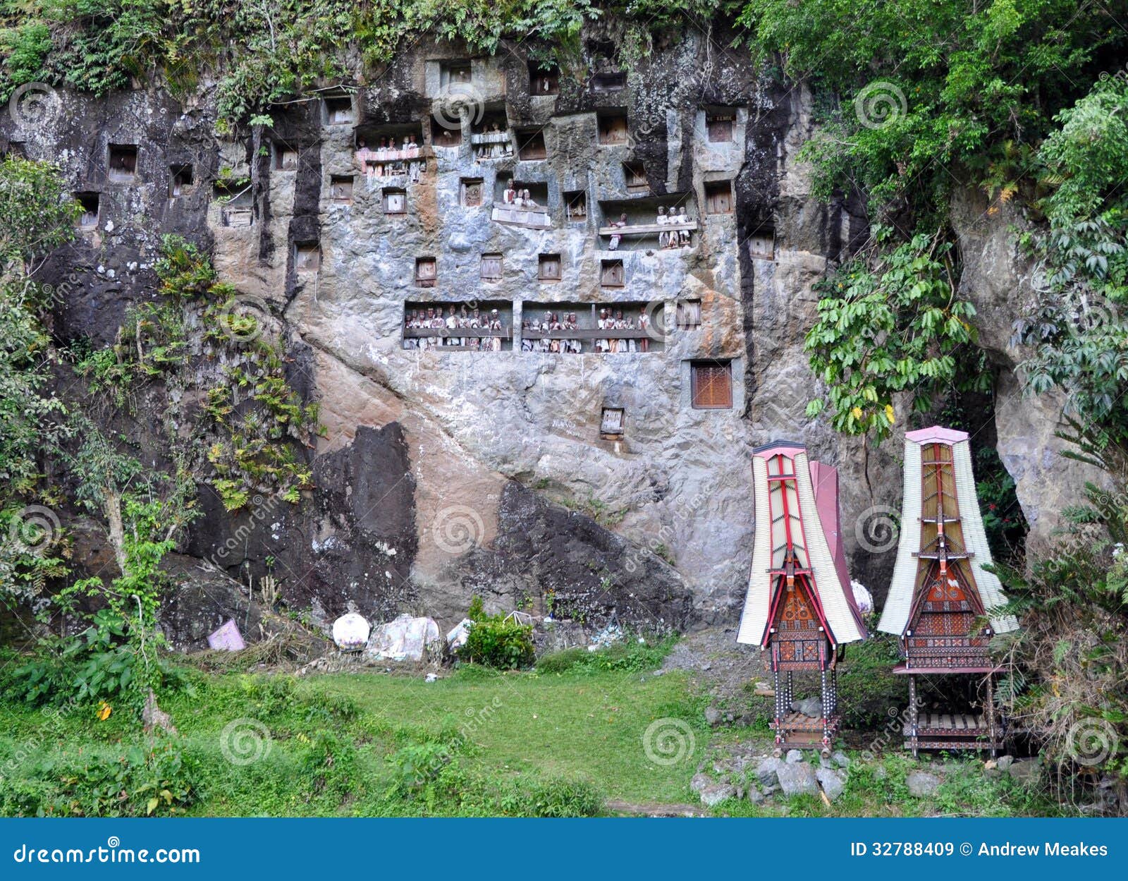 Cara Da Rocha Do Toraja De Tana Imagem de Stock Editorial - Imagem de ...