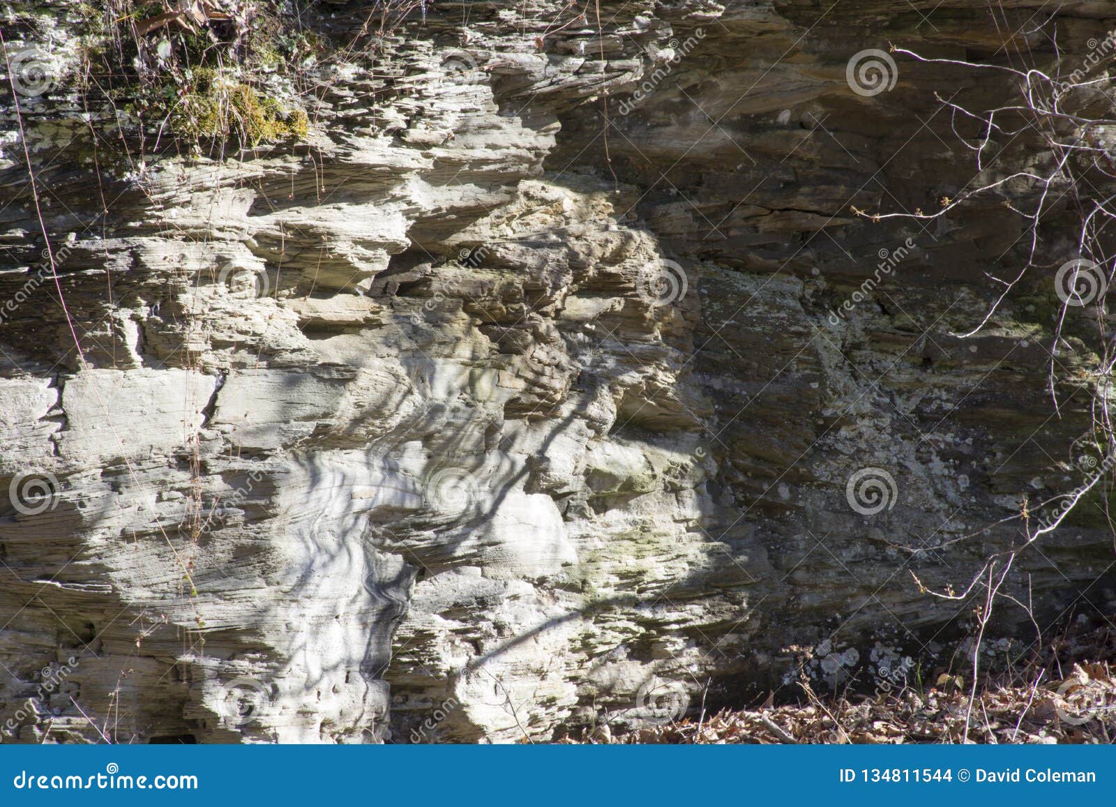Cara de la roca en bosque foto de archivo. Imagen de piedra - 134811544