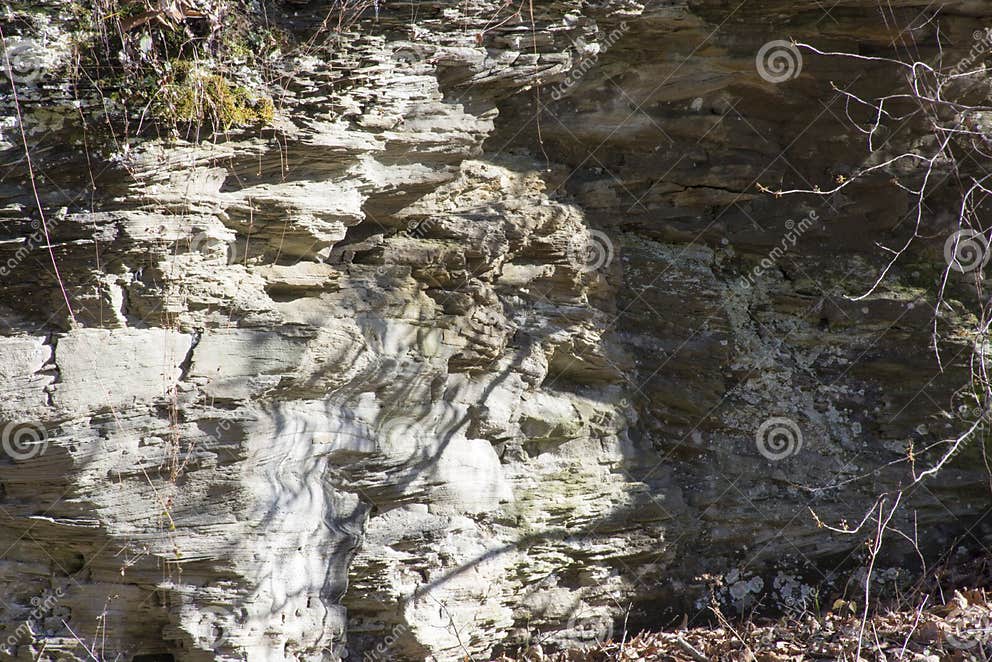 Cara de la roca en bosque foto de archivo. Imagen de piedra - 134811544
