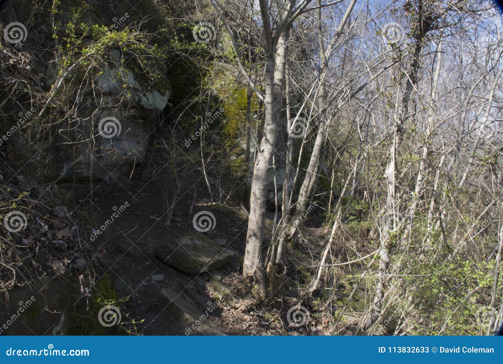 Cara de la roca en sombra imagen de archivo. Imagen de detalle - 113832633