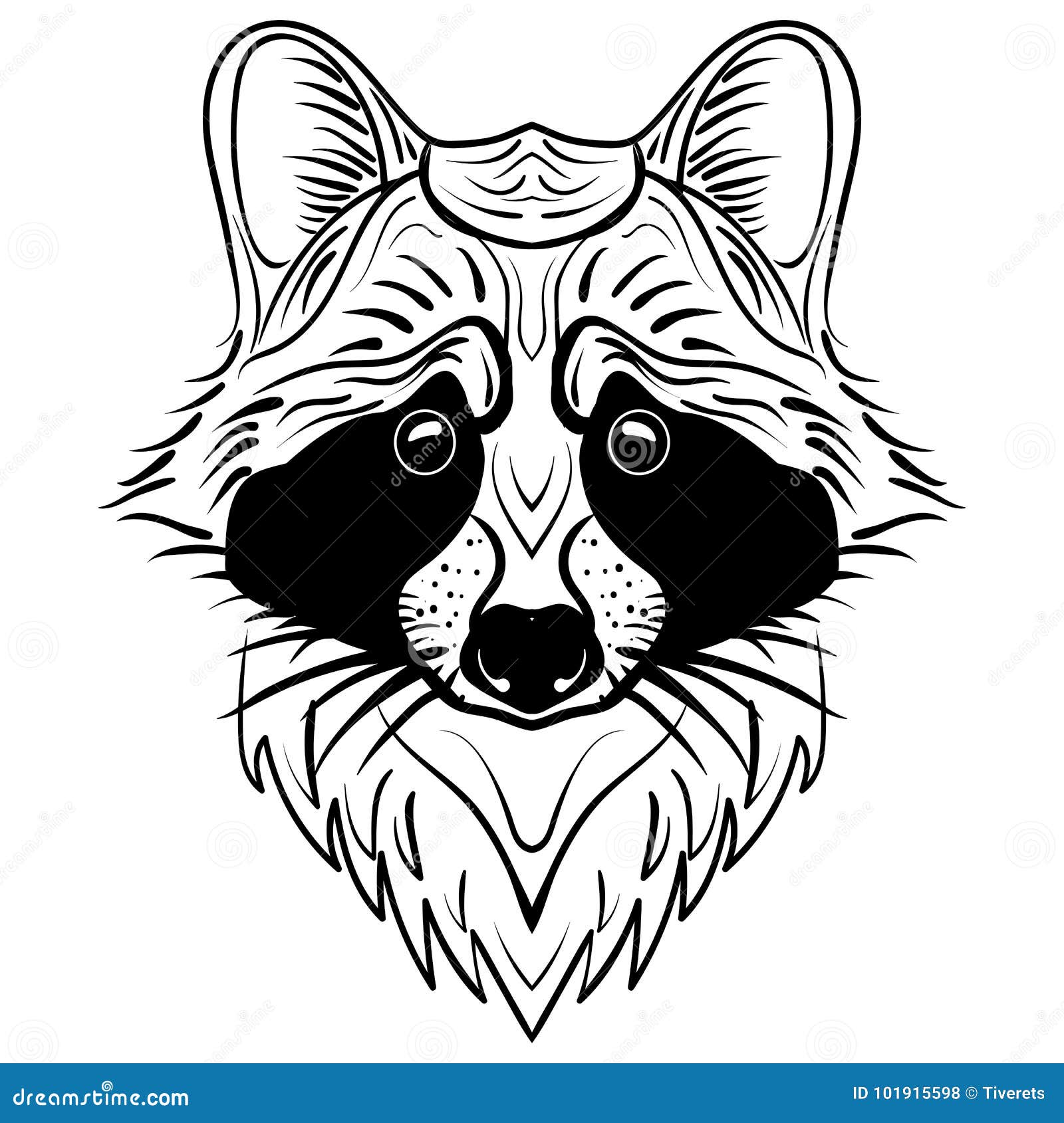 Cara Del Mapache Del Bosquejo Garabato Dibujado Mano Del Vector ...