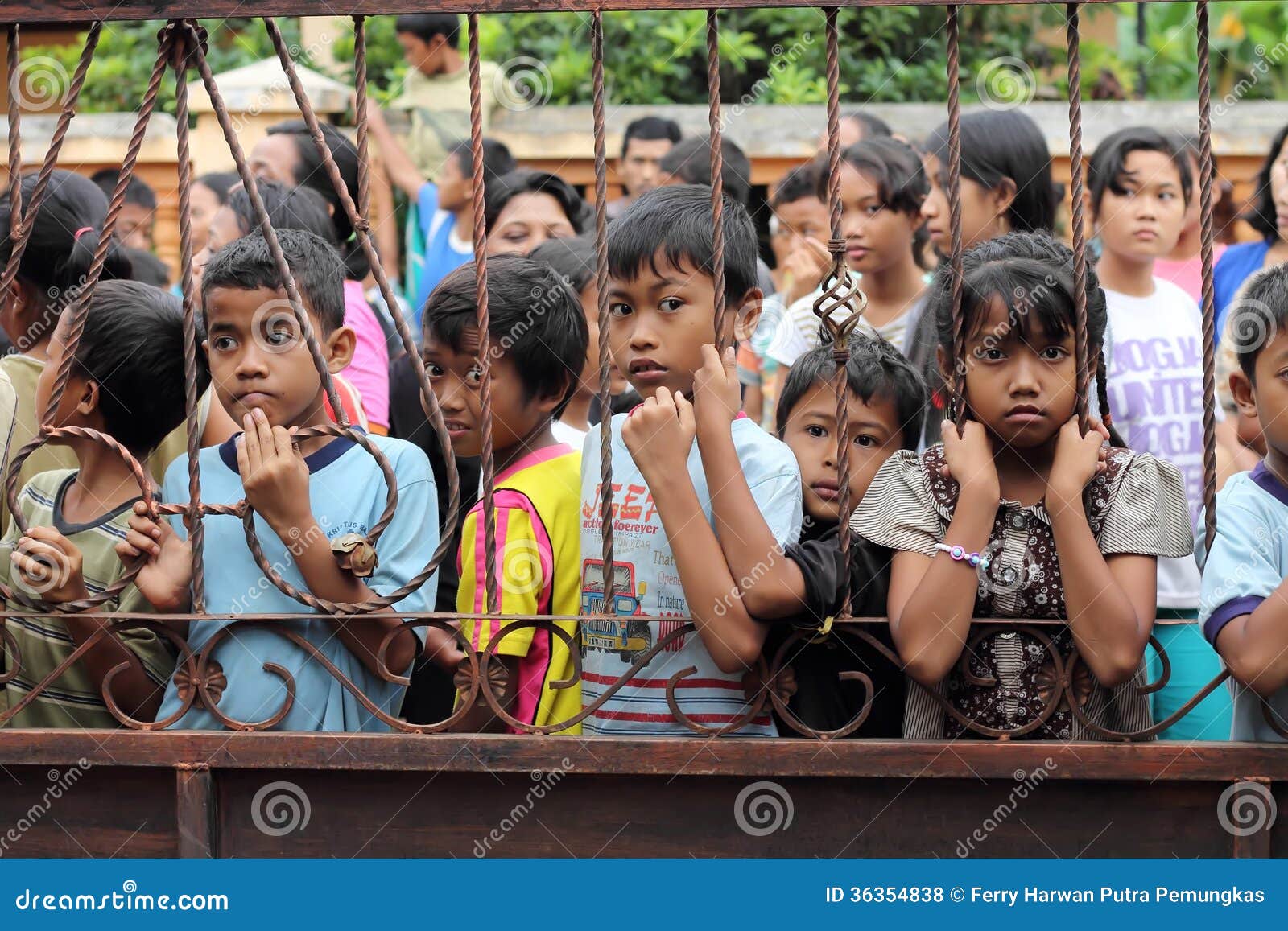Cara inocente das crianças foto de stock editorial. Imagem de menina ...
