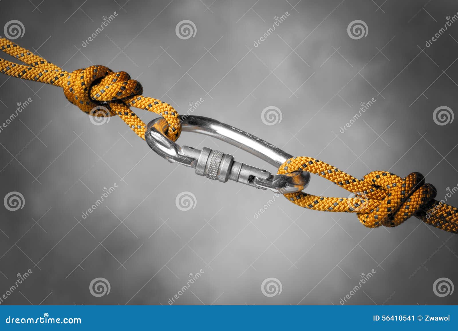 Carabiner with rope stock image. Image of knot, aluminum - 56410541