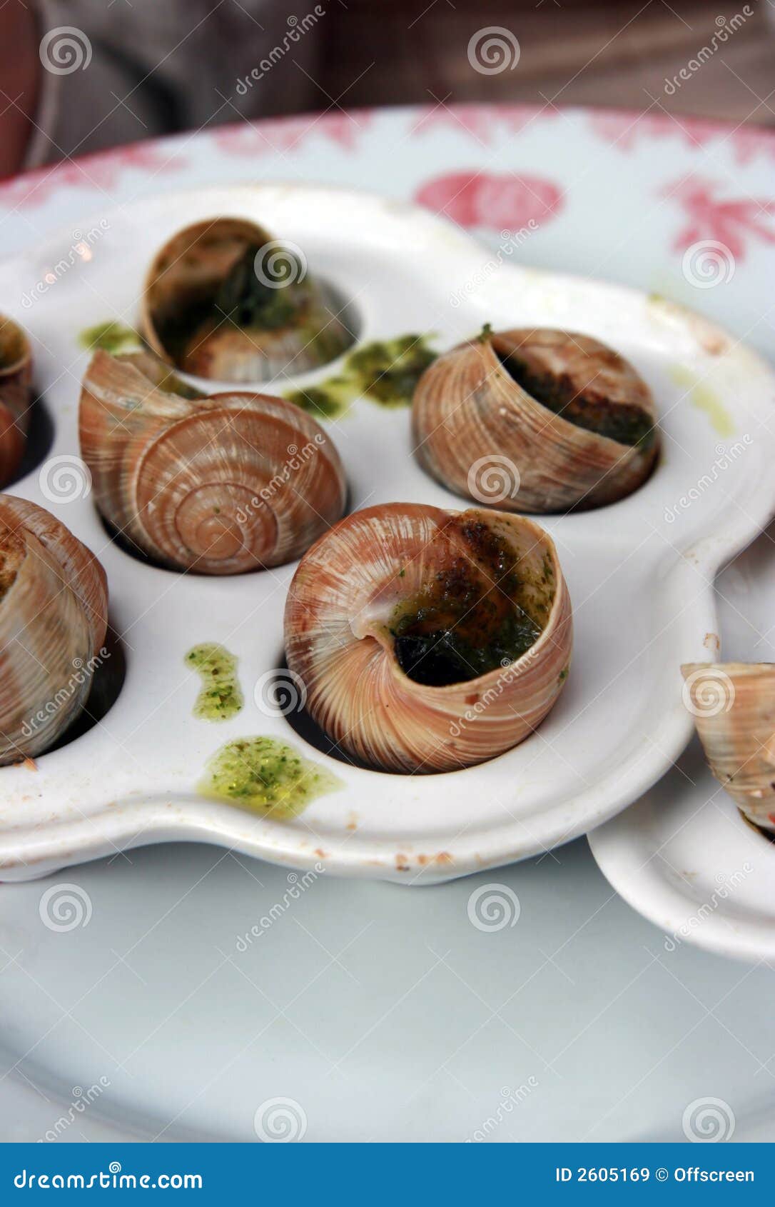 Caracóis imagem de stock. Imagem de animal, fome, hélice - 2605169