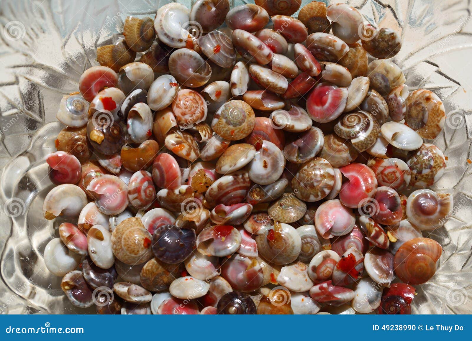 Caracóis de mar foto de stock. Imagem de branco, concha - 49238990